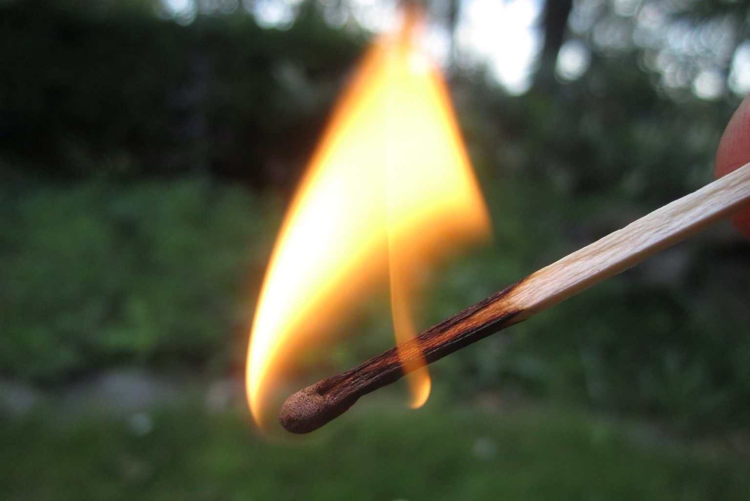 Open Space - Aufbau, Ablauf, Beispiele, Tipps & Vorlagen | Consulting LIFE